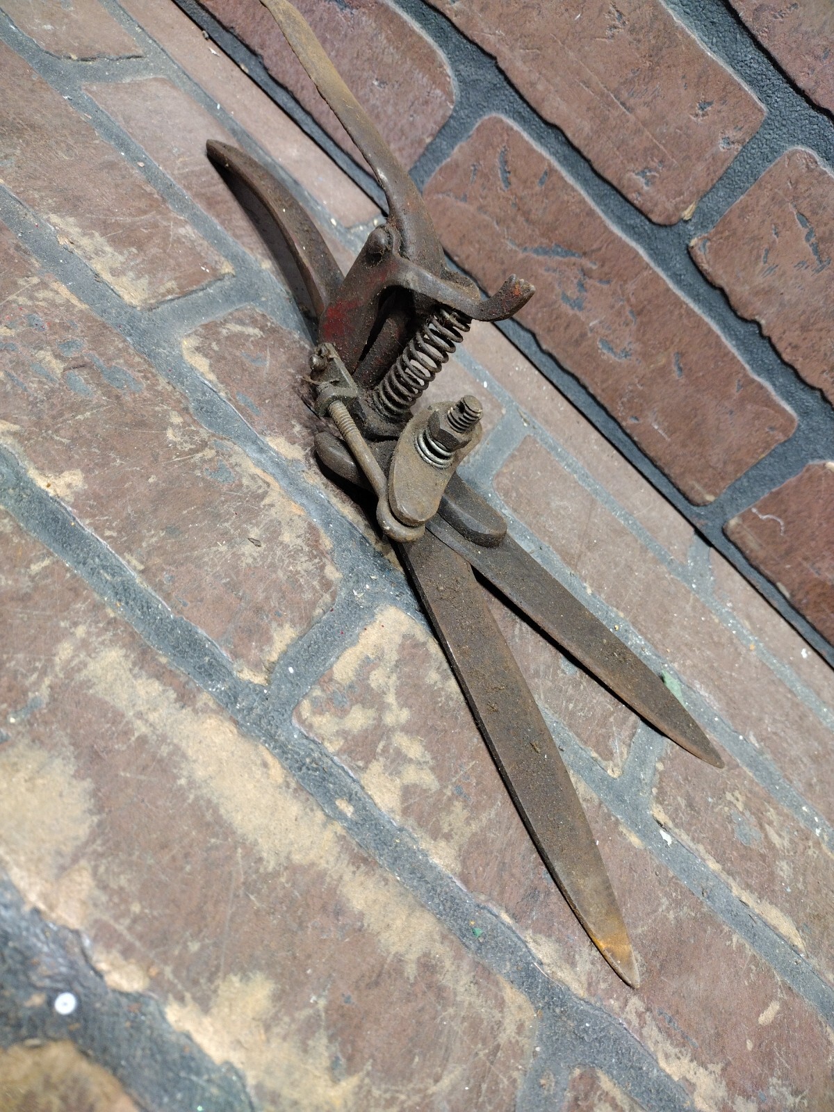 Vintage Grass Yard Lawn Garden Clippers Pruning Shears Snips | eBay