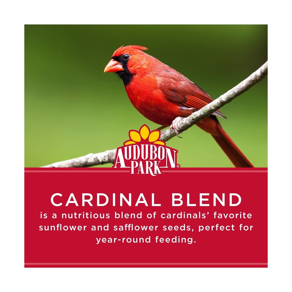 Audubon Park Cardinal Blend Wild Bird Food, Cardinal Bird Seed for ...