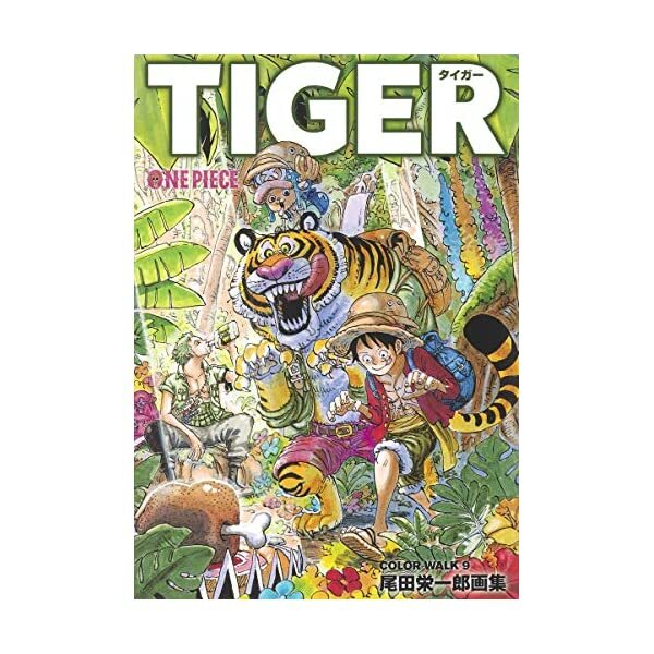 ONE PIECE COLOR WALK 9 TIGER Eiichiro Oda Illustration Japanese Book ...