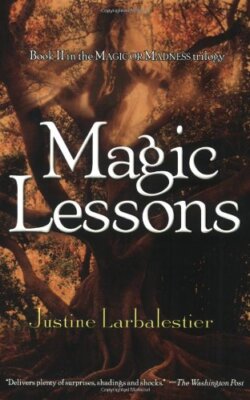 Magic Lessons (Magic or Madness), Larbalestier, Justine 9781595141248| eBay
