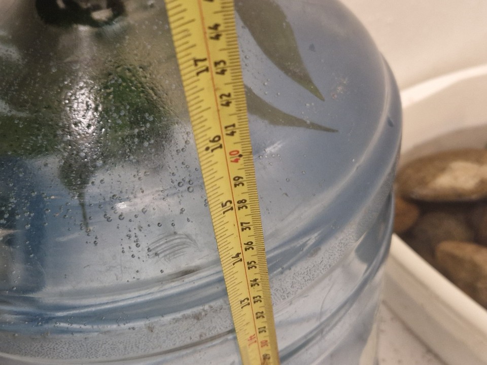 Fish Tank Empty Water Drink Dispencer Aquarium Fish Bowl | eBay UK