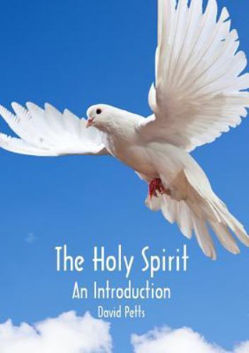 Holy Spirit, an Introduction by David Petts (2015, Trade Paperback) for ...