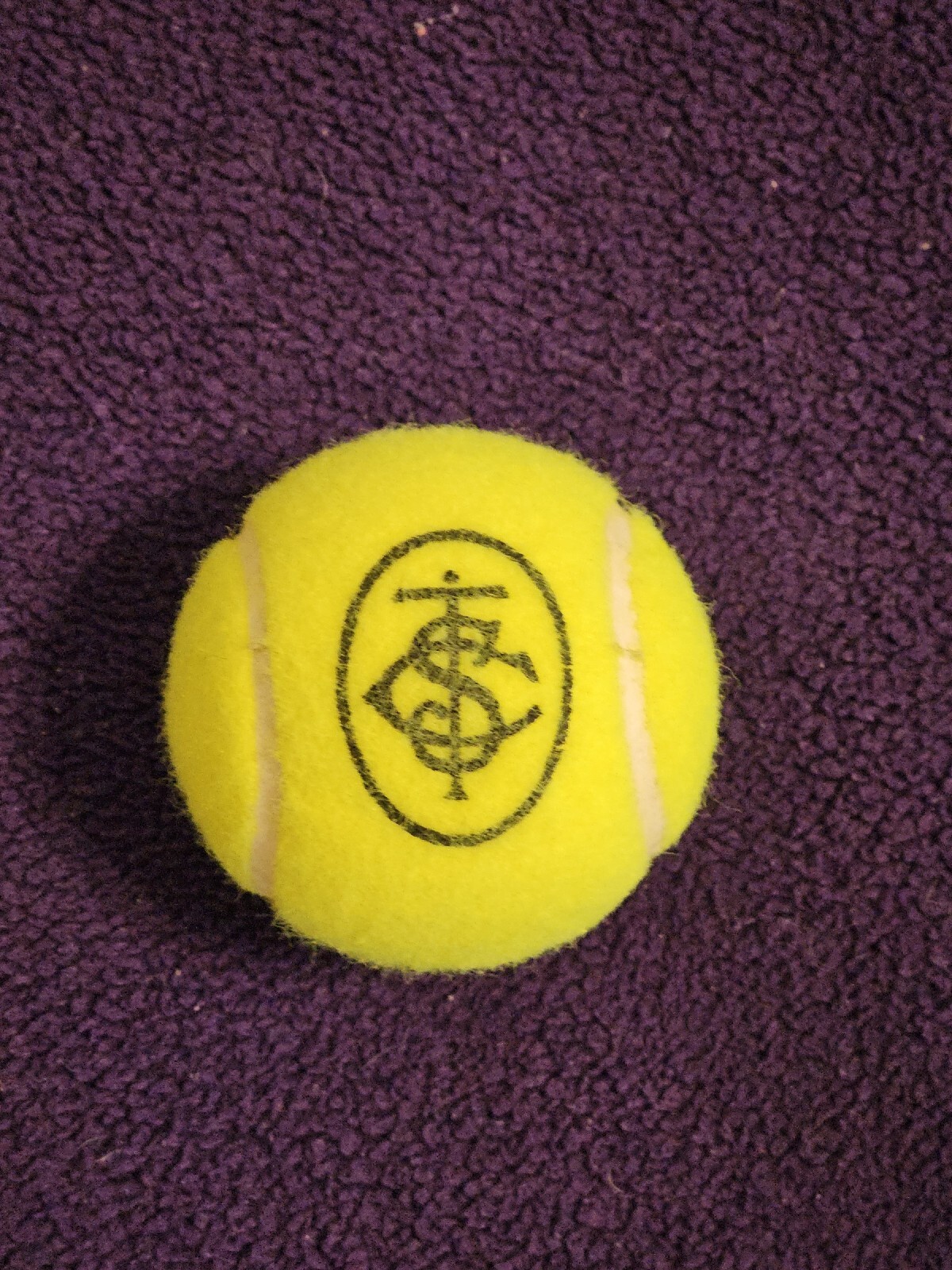 SEATTLE TENNIS CLUB LOGO TENNIS BALL - VERY RARE - MATCH USED | eBay