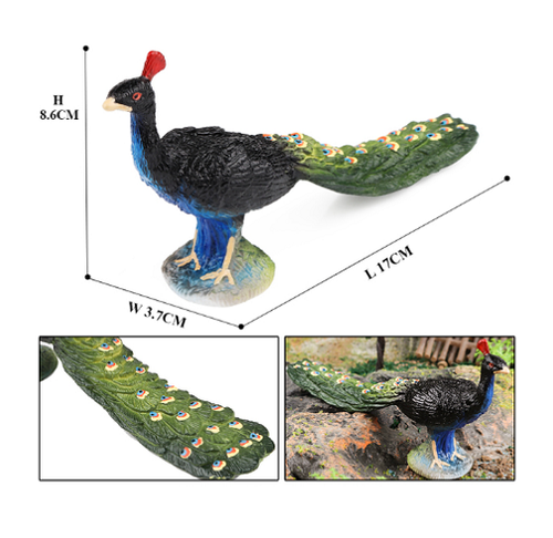 17cm Mini Peacock Bird PVC Toy Wild Animal Figure Doll Kids Gift | eBay