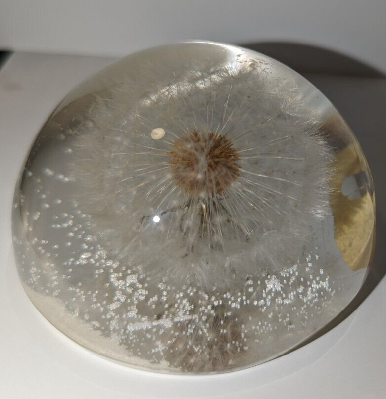 Vintage W. Rolfe Signed Dandelion Puff in Lucite Paperweight - 1960’s ...