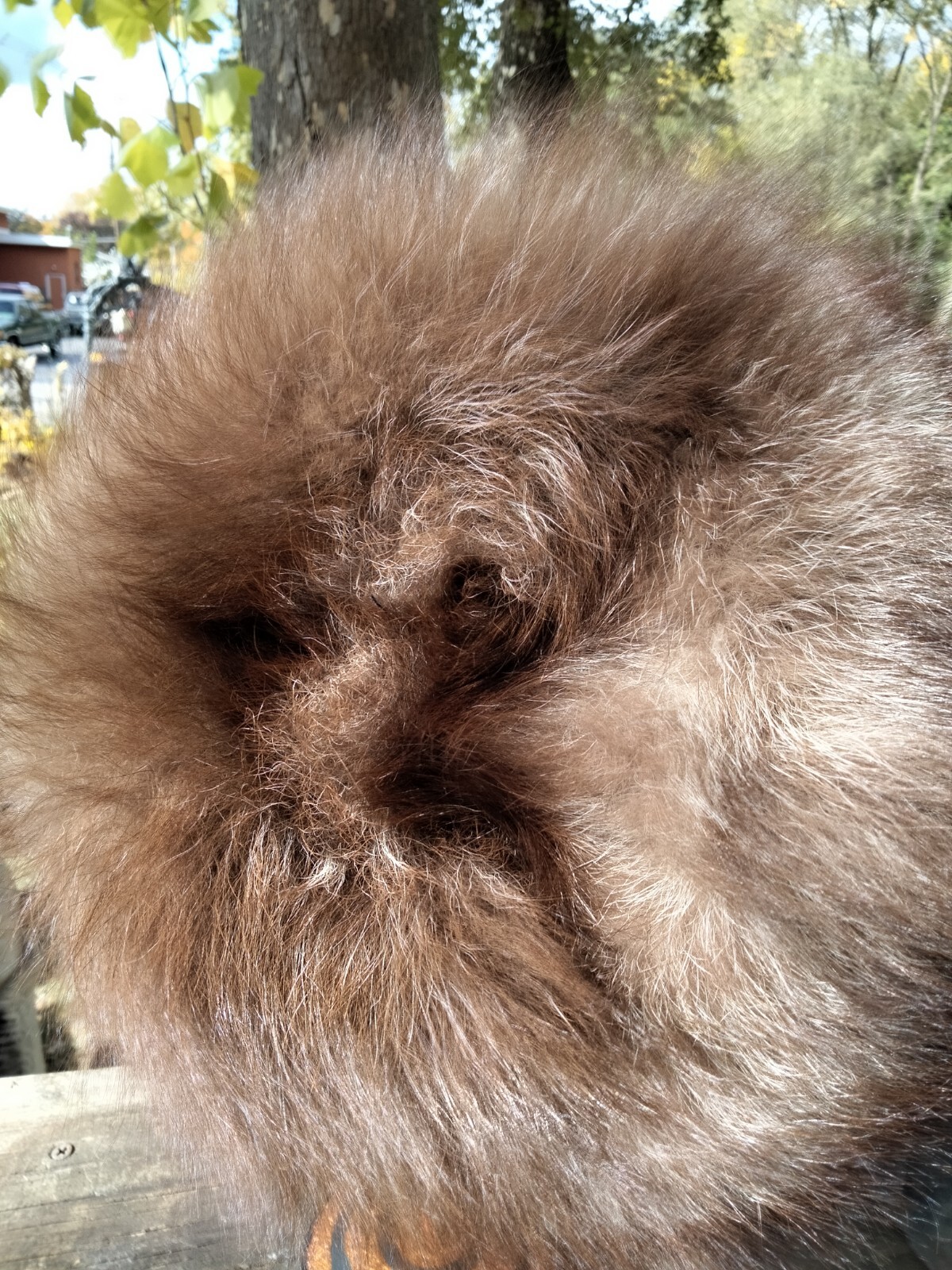 VINTAGE PYCCKNN MEX RUSSIAN BROWN GRAY MENS WOMENS FU… - Gem