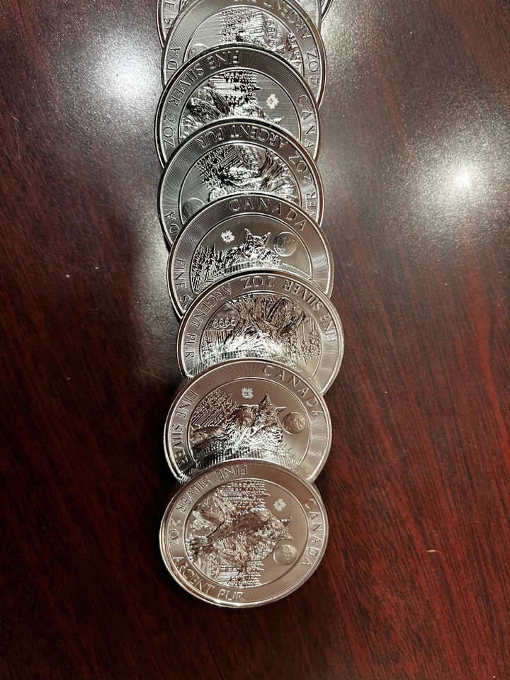 LOT of (14) 2021 SILVER CANADA WEREWOLF 2 OZ .9999 SILVER 28 OZ Total ...