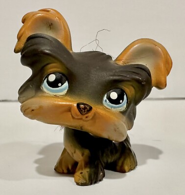 Littlest Pet Shop LPS #141 Shi Tzu Dog Blue Eyes Real Hair Authentic | eBay