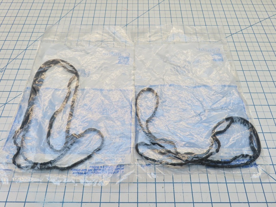 GM 12619787 Valve Cover Gasket 2 Pack Factory Sealed General Motors | eBay
