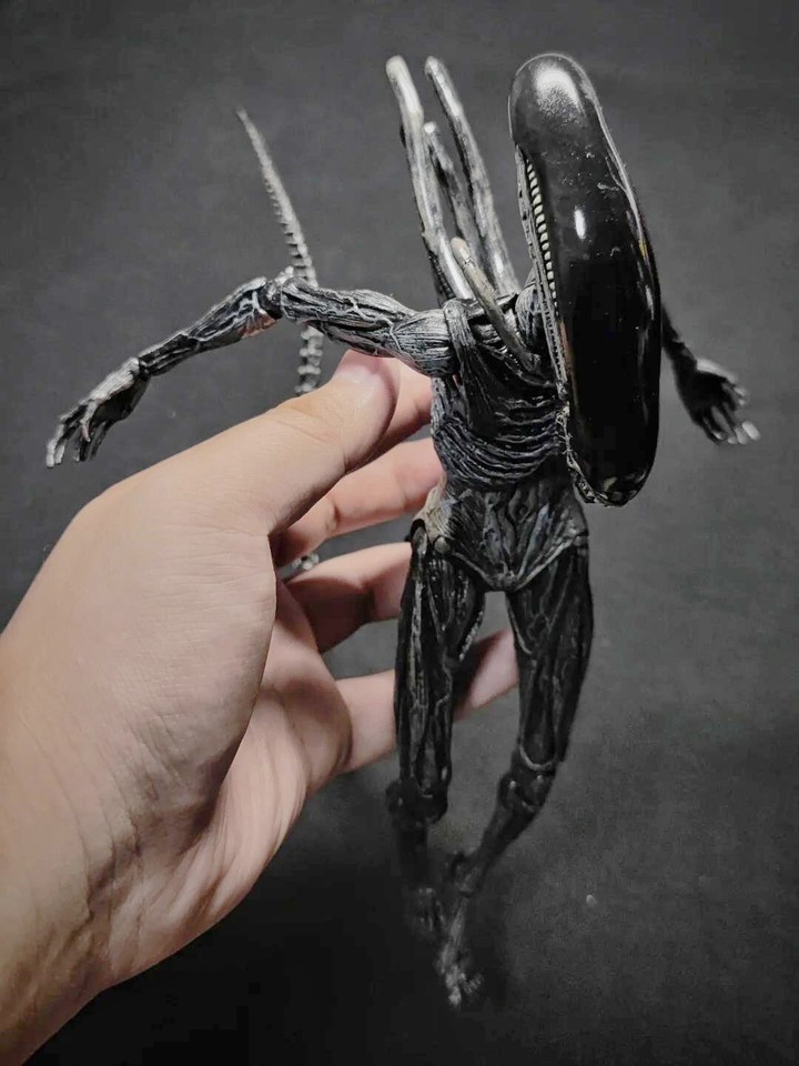 NEW NECA Alien：Covenant Movie figure Xenomorph Warrior 7" Action Figure ...