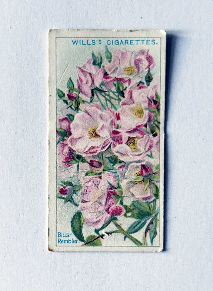 Cigarette cards full sets - 19 Sets | eBay UK