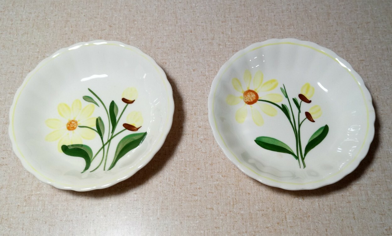 Pair of Southern Potteries Blue Ridge Hand Painted Underglaze Floral ...