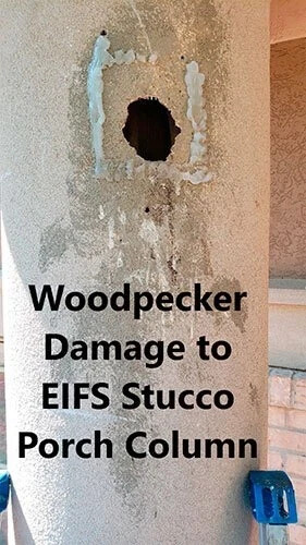 EIFS Stucco Woodpecker Damage Repair Kit | eBay