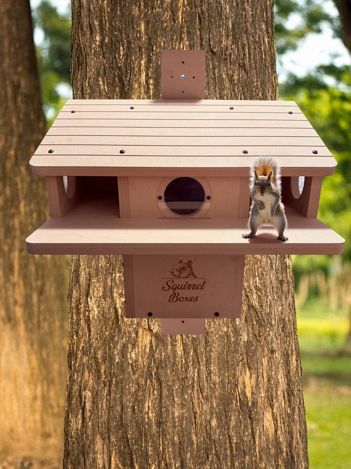 Squirrel Nesting Box | eBay