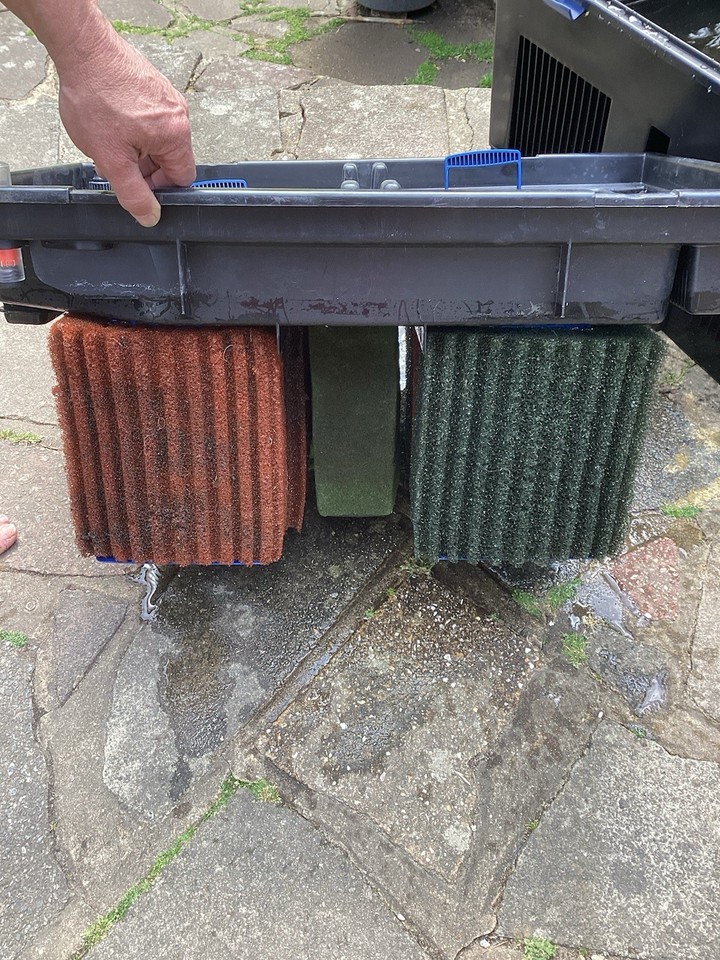 OASE BIOSMART 36000 POND FILTER WITH BITRON 24w SELF CLEANING UVC | eBay UK