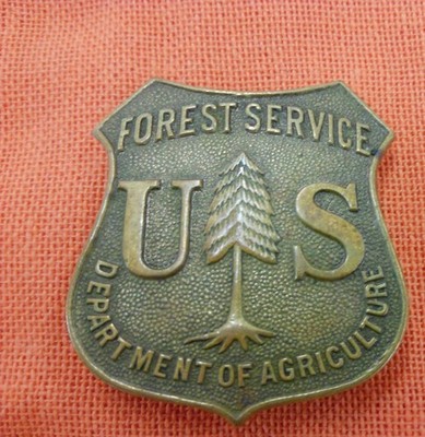 U S Forestry Badge Pin | eBay