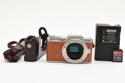 Exc Panasonic Lumix DMC-GF7 Digital Camera Body Shutter Count3959 w ...