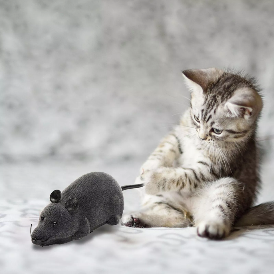Wireless Remote Control RC Rat Electronic Mouse for Cat Dog Pet Toy ...