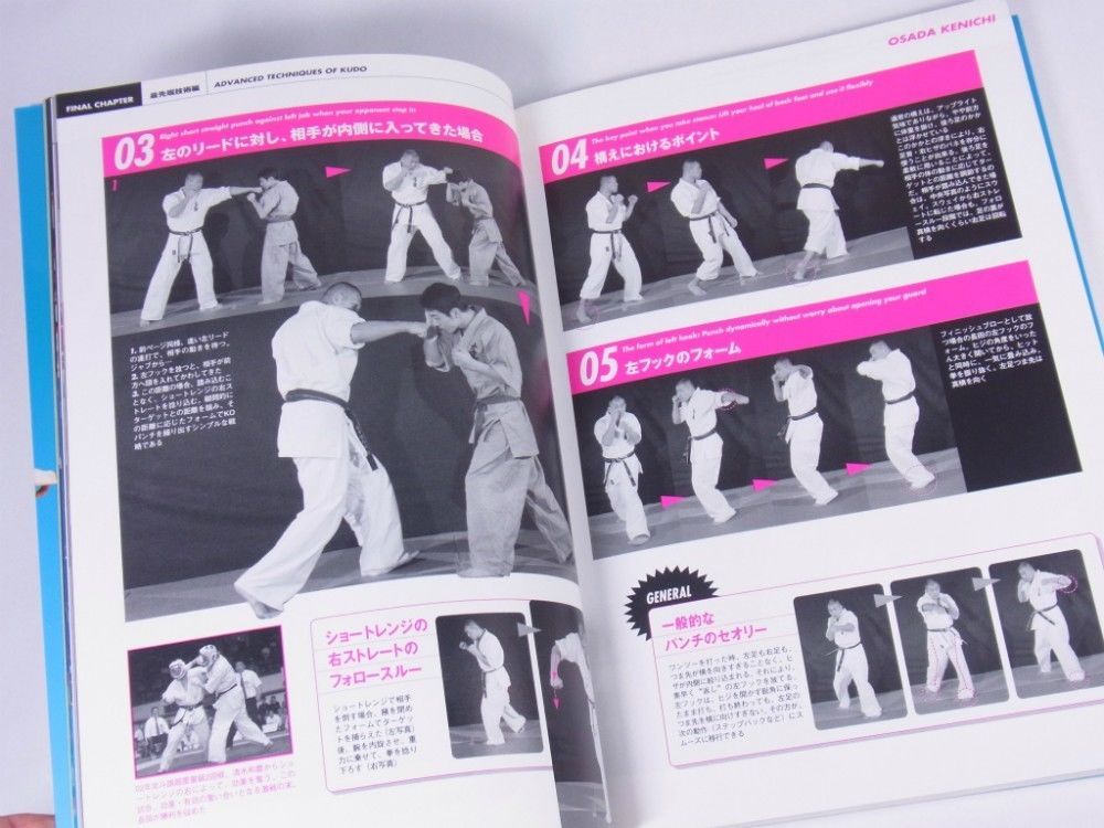 Daidojuku Karate Kudo Martial Arts MMA Technique book Daido juku ...