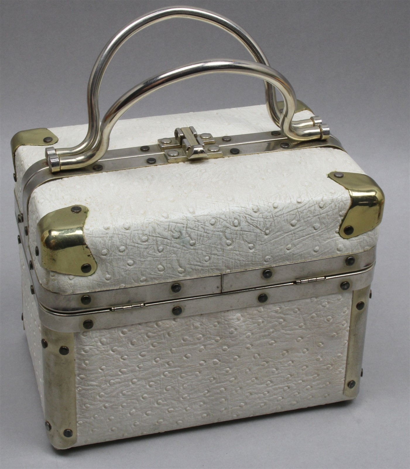 1960's DELILL Ivory Faux Ostrich Train Trunk Hard Cas… - Gem