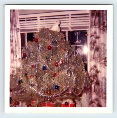Vintage 1963 Photo Christmas Tree 1960's Found Art SYB14 | eBay