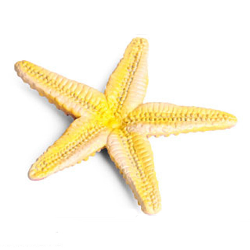 Starfish Action Figure Model Toy Realistic Ocean Educational Toys for ...