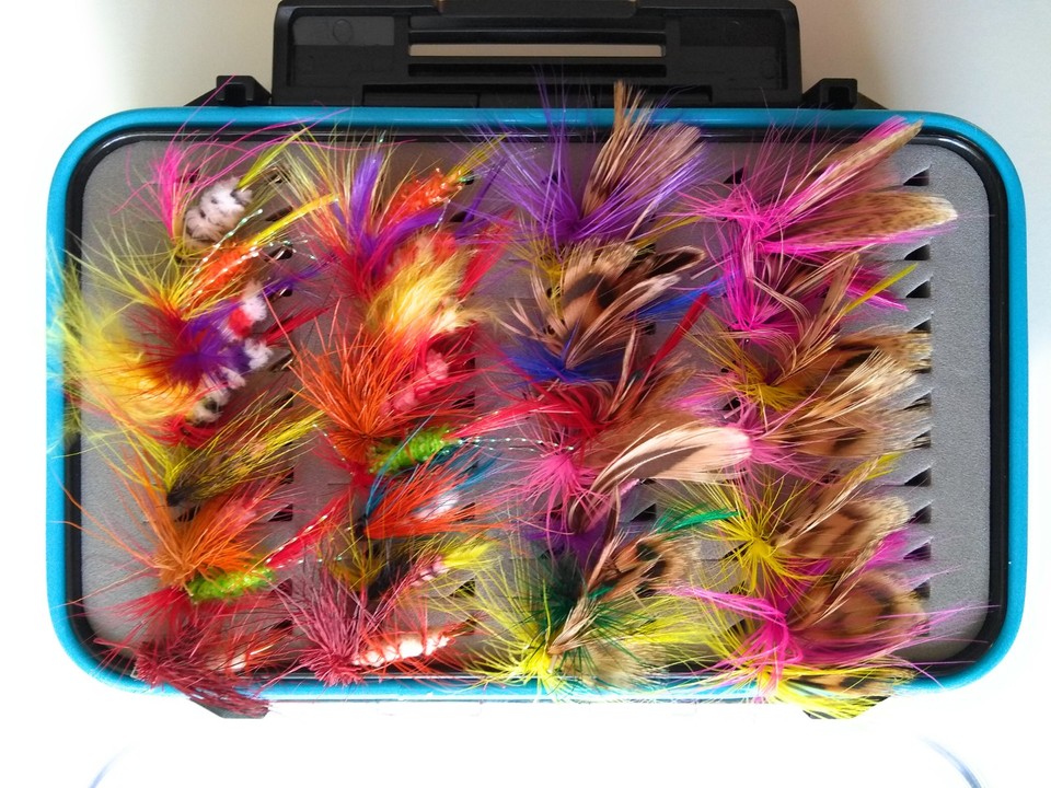 trout salmon fly fishing flies assortment tackle box with 64 fly ...