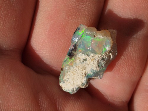Large Welo Opal with AAA Fire and Color Top Gem Grade Ethiopian Opal ...