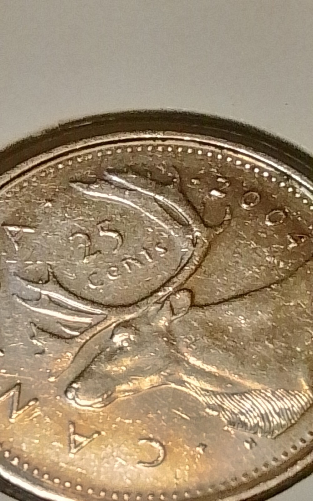 2004 P Series Canadian Quarter Ooi142 | eBay