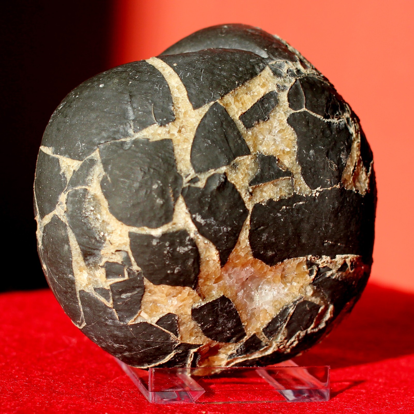 Septarian Nodule Dragon Egg - Calcite Aragonite Limestone Healing ...