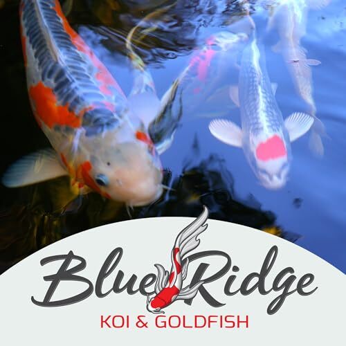 Blue Ridge Koi Fish Food 5lb - Koi Food Mini Growth Formula Goldfish ...