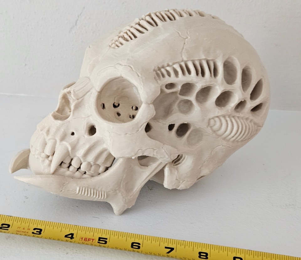 Xenomorph Alien Replica Highly Detailed Alien Skull Gamer Room Decor ...