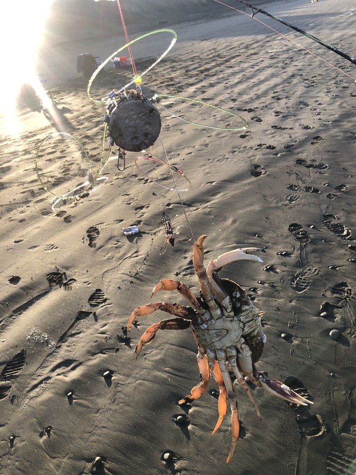 Crab Snare ELITE Crabber Grabber 360 | eBay