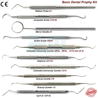 Prophy Kit of 12 Periodontal Probe scalers Dental Veterinary Dog Cat ...