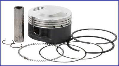 YAMAHA RAPTOR 350 HOTRODS 379 STROKER BIG BORE PISTON | eBay