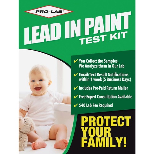Pro Lab Dust Wipes Lead Test Kit LP106 Pro Lab LP106 683431991064 ...