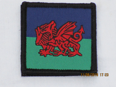 Royal Welsh Regiment, TRF,Abzeichen,Patch,subdued, roter Drache,mit ...