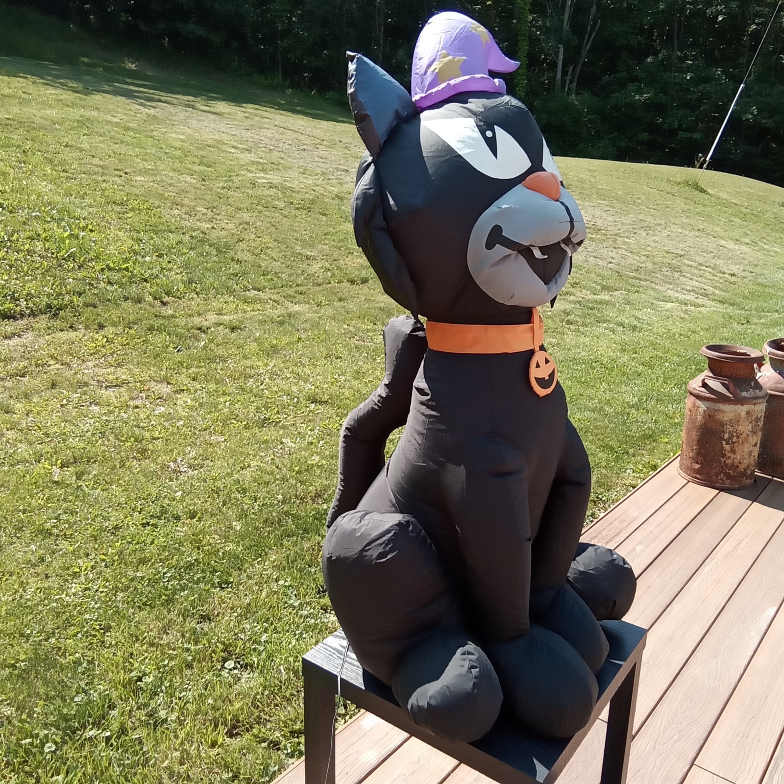 Vintage Halloween Airblown Inflatable Black Cat Gemmy 2000s | eBay