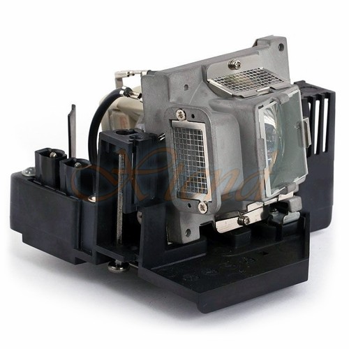 Original bulb inside Lamp Module for OPTOMA BL-FP260A | eBay