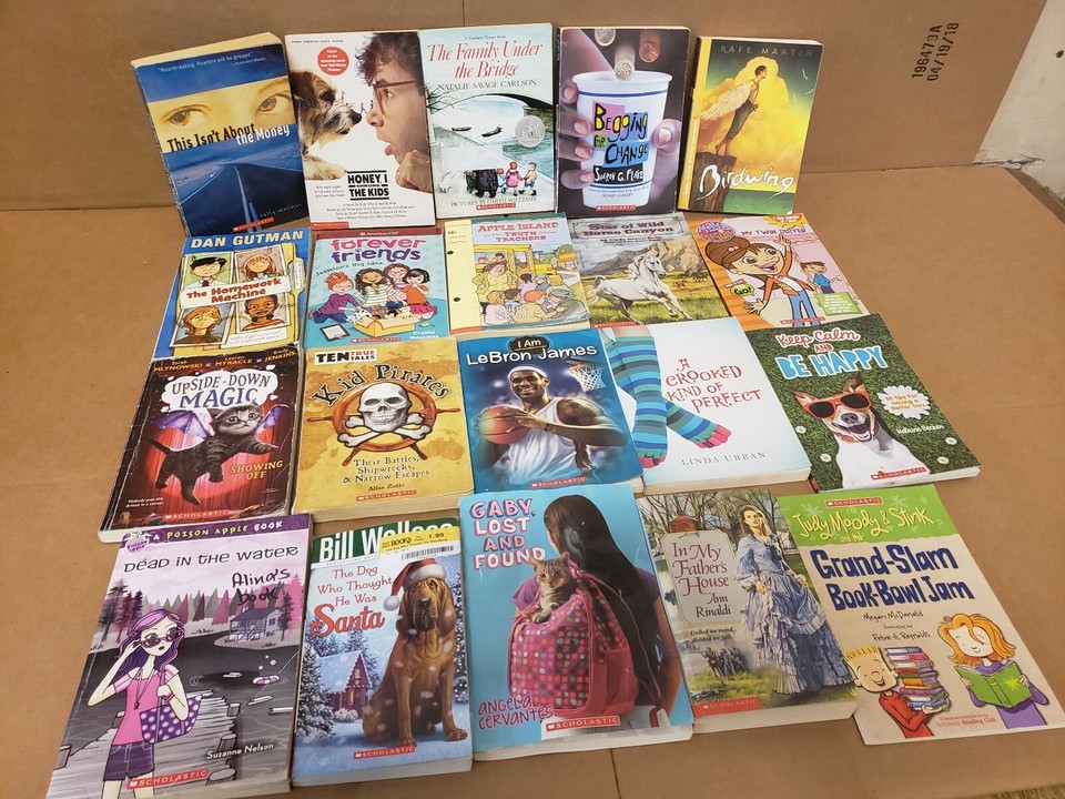Lot of 50 Chapter INSTANT LIBRARY Children Young Adult RANDOM UNSORTED ...