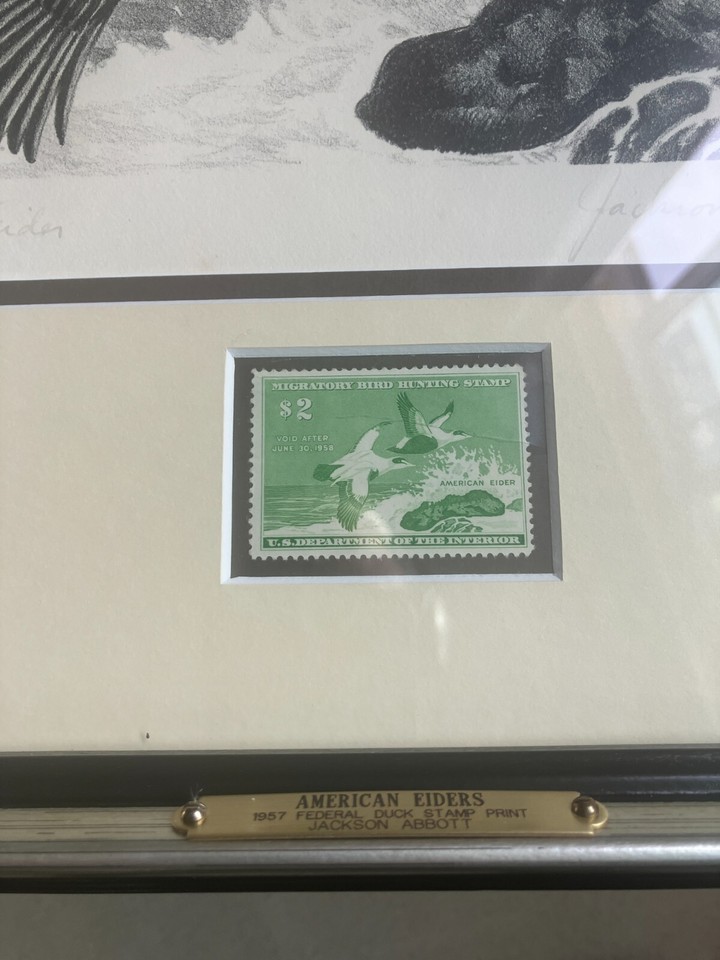 RW24 Federal duck print 1st Edition with stamp Abbott | eBay