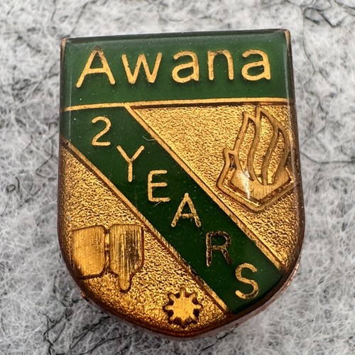 Awana Uniform Lapel Pin 2 Years Leader Service Gold Tone Vintage Small ...