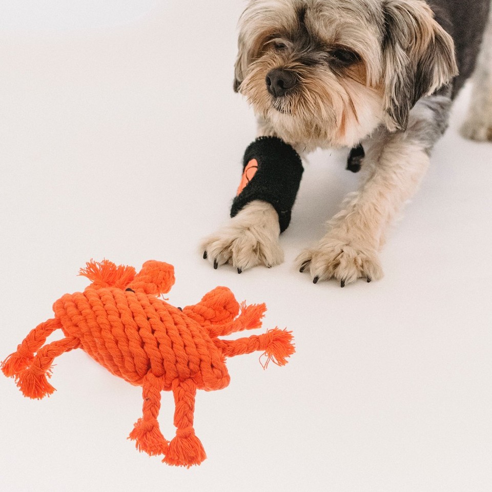 Tooth Cleaning Dog Toy Chew Toys Molar Sticks Puppy Teething Ropes ...