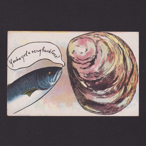 GREAT BRITAIN, Vintage postcard, You've got a very hard case!, Humour ...