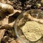 Malawi Esnart Powder 100g | eBay UK