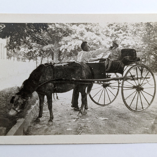 Snapshot Photo Little Girl Riding In A Gig Chariot Horse Carriage | eBay