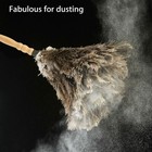13" Ostrich Feather Duster Durable Dust collecting Cleaning Tool In ...