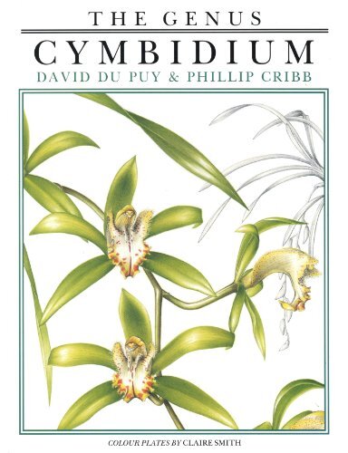 Genus Cymbidium by Phillip Cribb and David Du Puy (1988, Hardcover) for ...