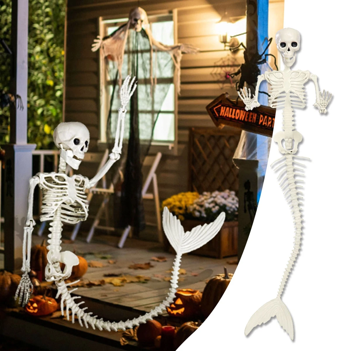 Mermaid Real Life Bones