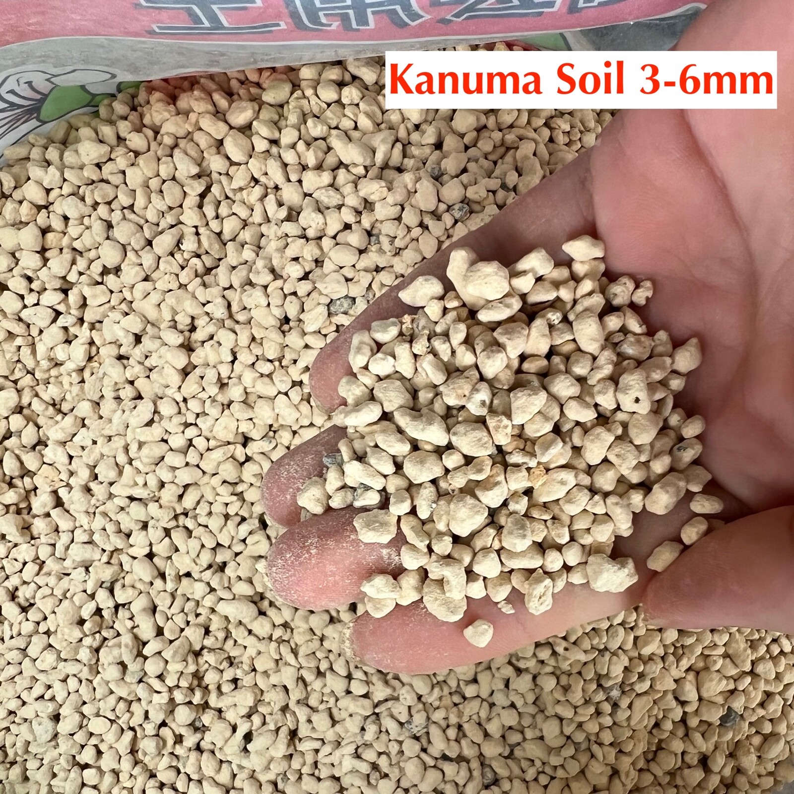 🔥 Japanese AKADAMA Premium DoubleLine Kanuma soil Pumice Succulent ...
